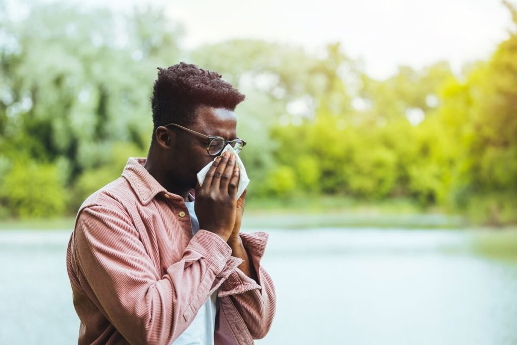 How to Stop Hay Fever Immediately: Quick Relief Tips